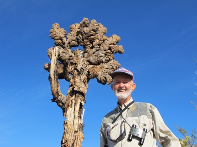 Christine's First Hunt for Crested Saguaros