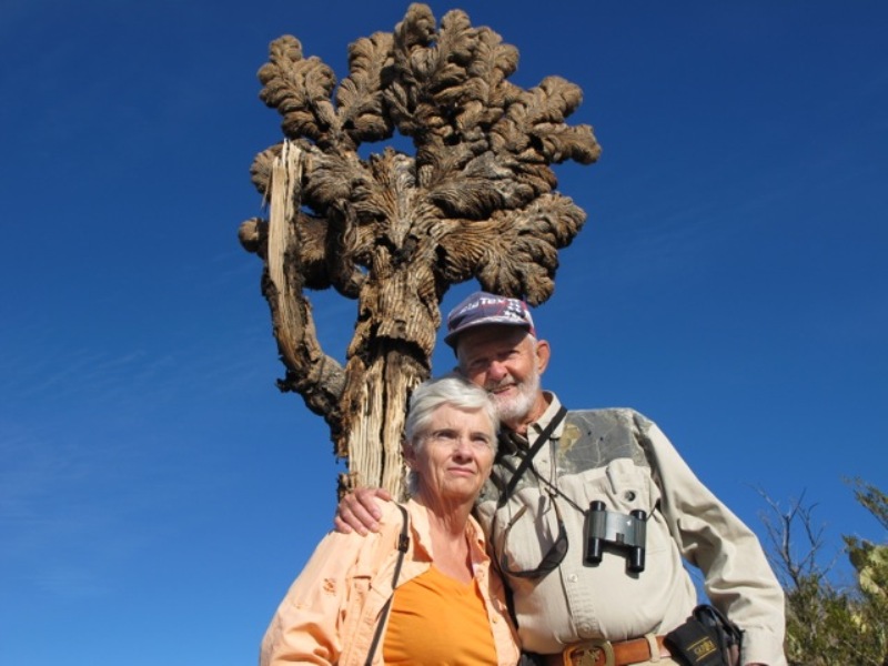 Christine's First Hunt for Crested Saguaros