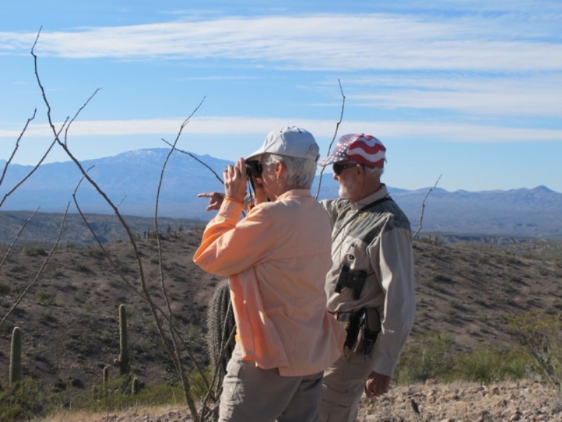 Christine's First Hunt for Crested Saguaros
