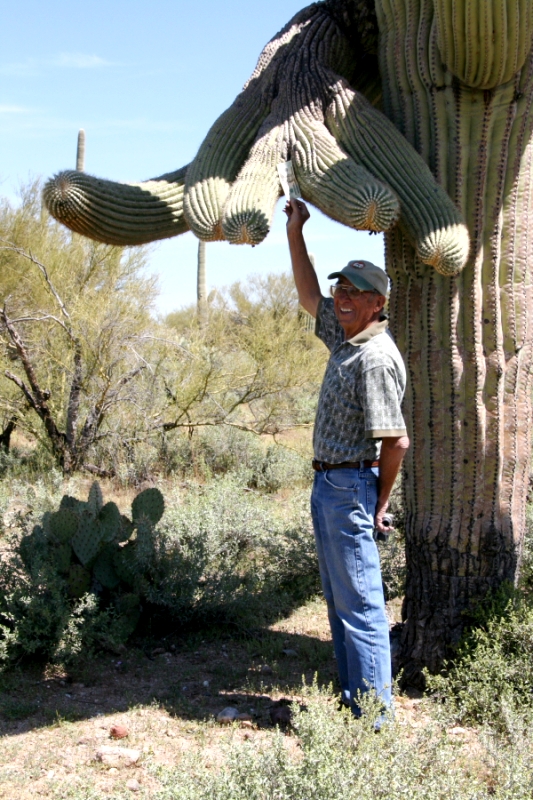 Memorial to Rex Herron